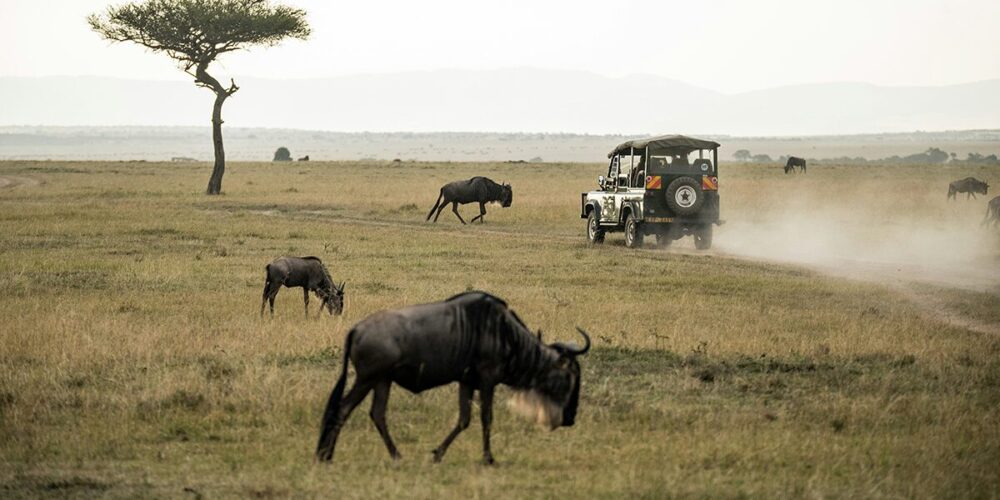 14-Day East Africa Safari: Wildlife & Culture Expedition